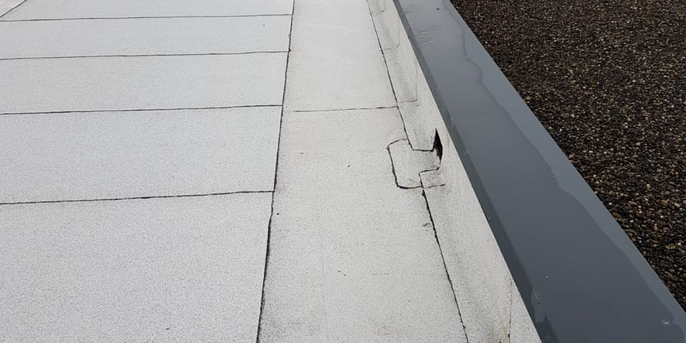 Project MBO College Westpoort Amsterdam - Roofing Service Nederland